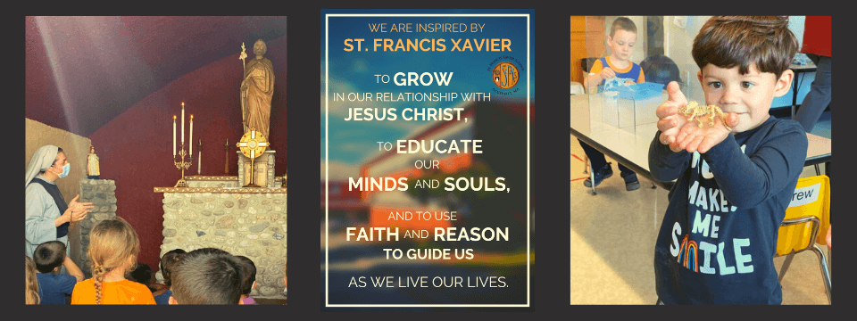 Home - Saint Francis Xavier Elementary School
